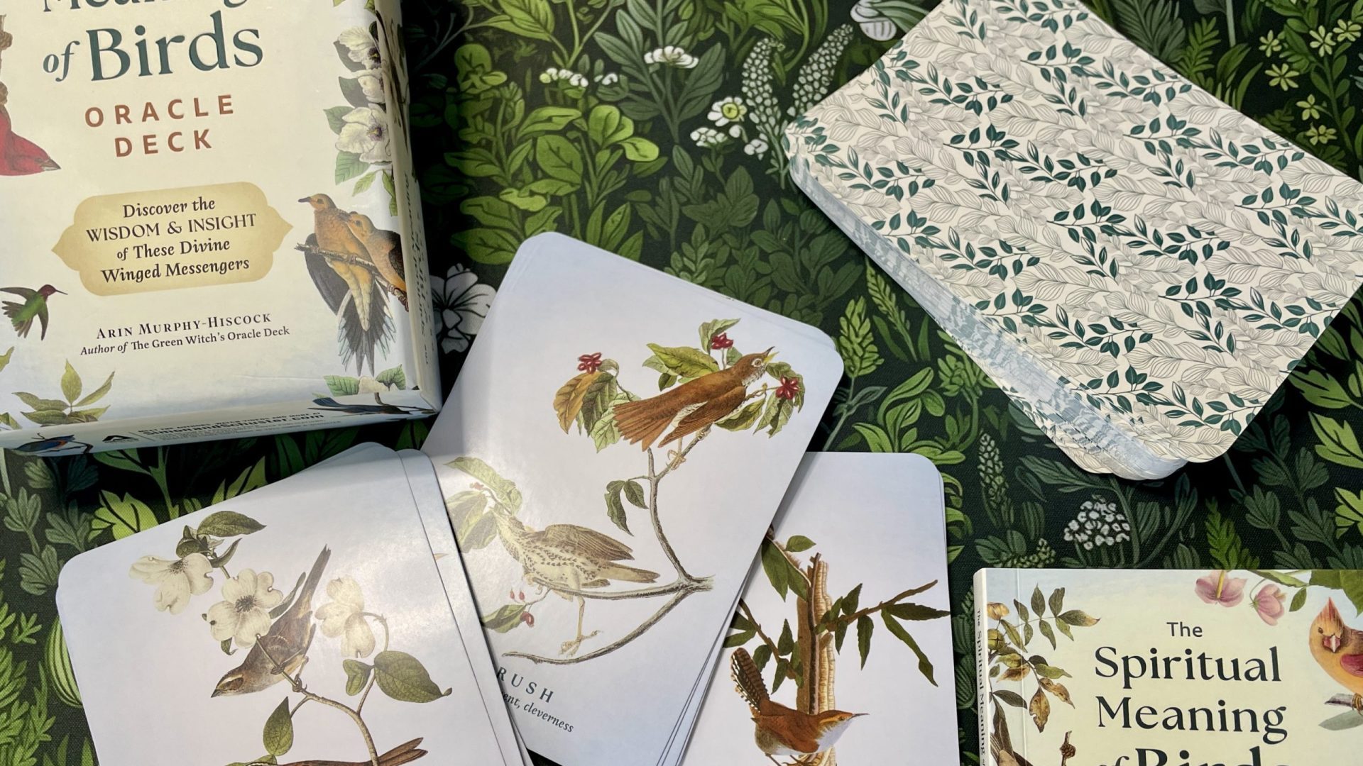 Spiritual Meaning of Birds Oracle Deck Unboxing! — Arin Murphy-Hiscock